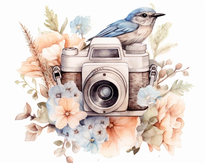 Floral Camera Clip Art, Vintage Printable Images (JPG Digital Download ...