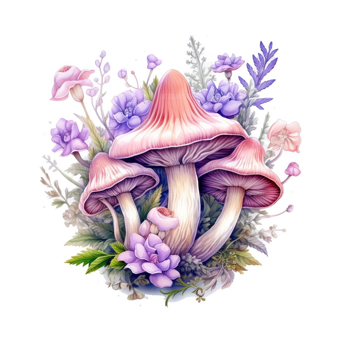 21 Floral Mushroom Clipart, Purple Mushrooms, Printable Watercolor ...
