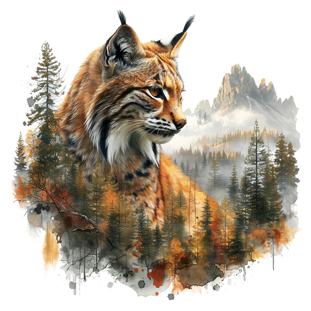 12 Lynx in Forest Clipart, Lynx Head Winter, Printable Watercolor ...