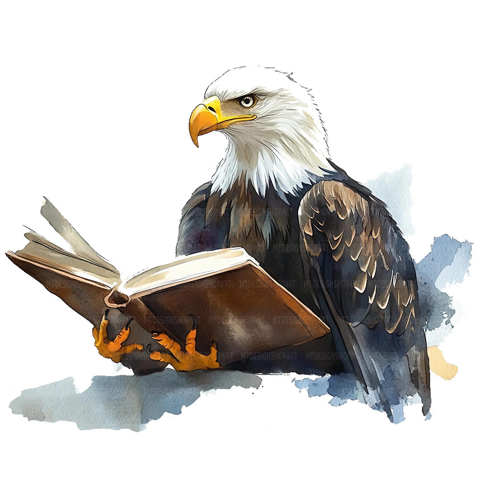 16 Eagle Reading Book Clipart, Bald Eagle, Printable Watercolor Clipart ...