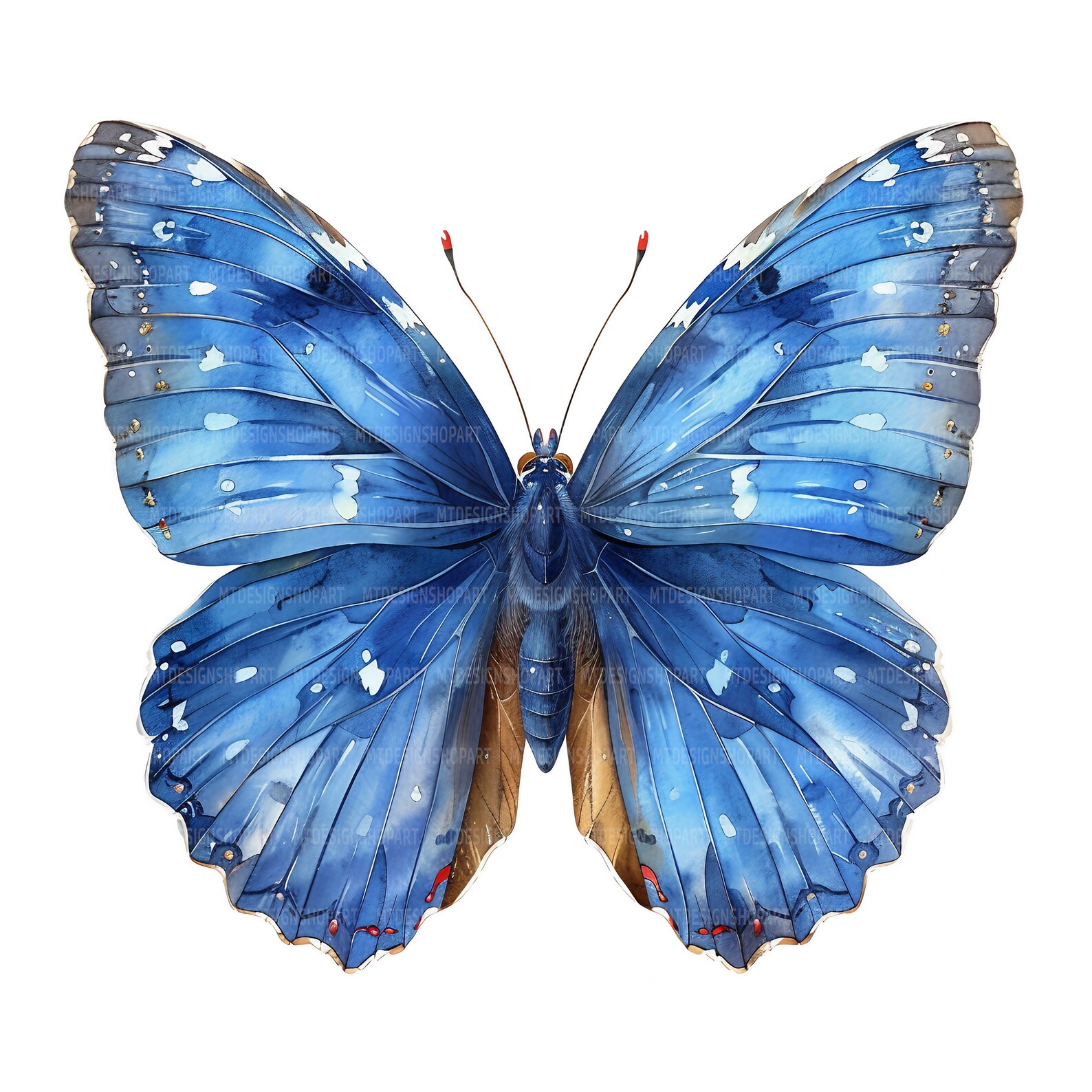 18 Realistic Butterfly Clipart, Butterflies Clipart, Printable ...