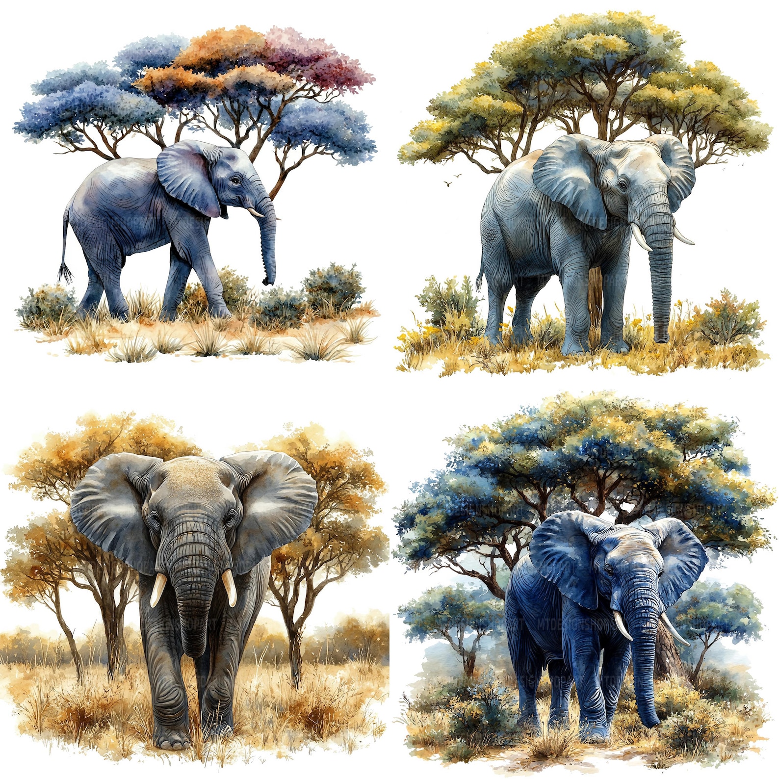 16 Elephant Clipart, Watercolor Elephant Art, Printable Watercolor ...