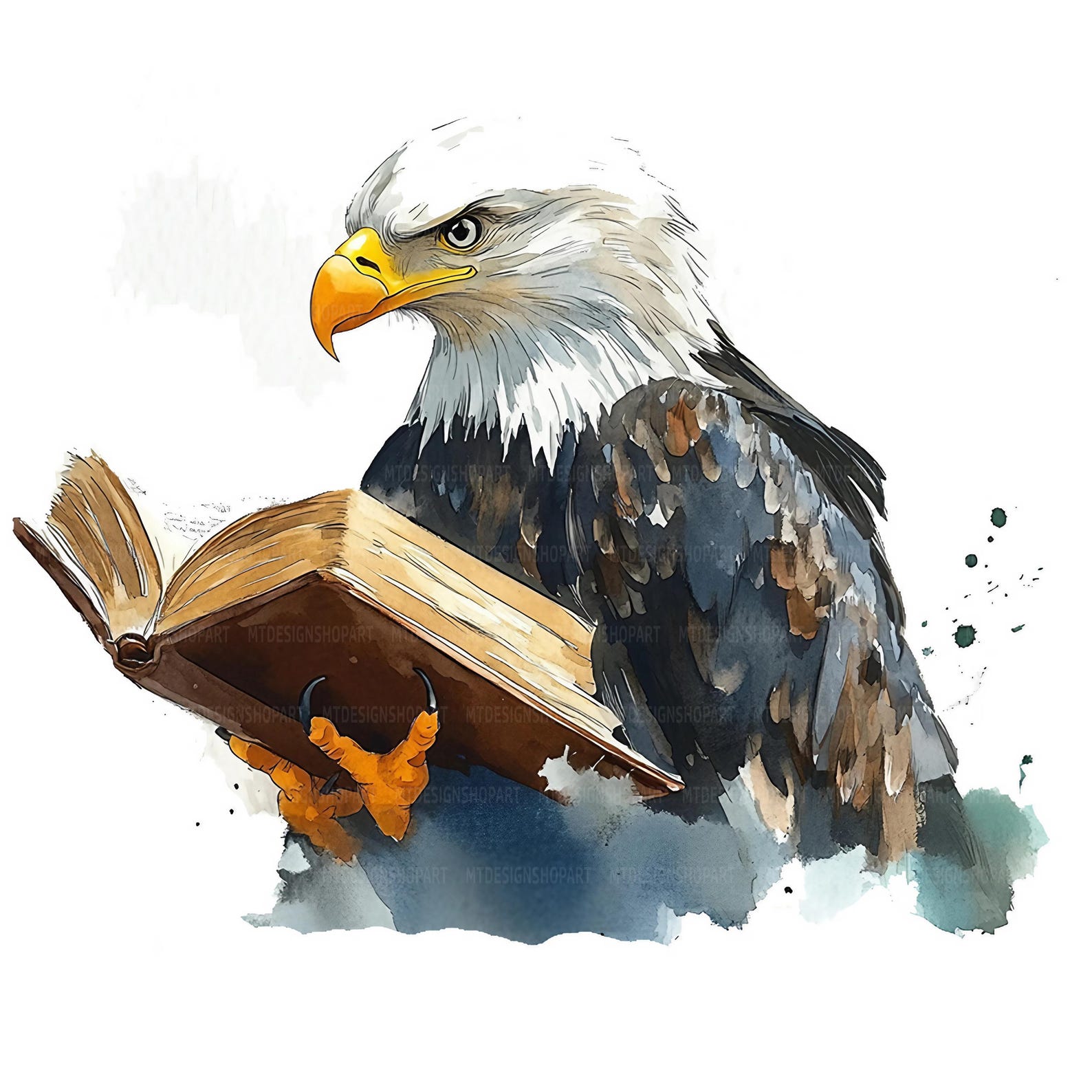 16 Eagle Reading Book Clipart, Bald Eagle, Printable Watercolor Clipart ...