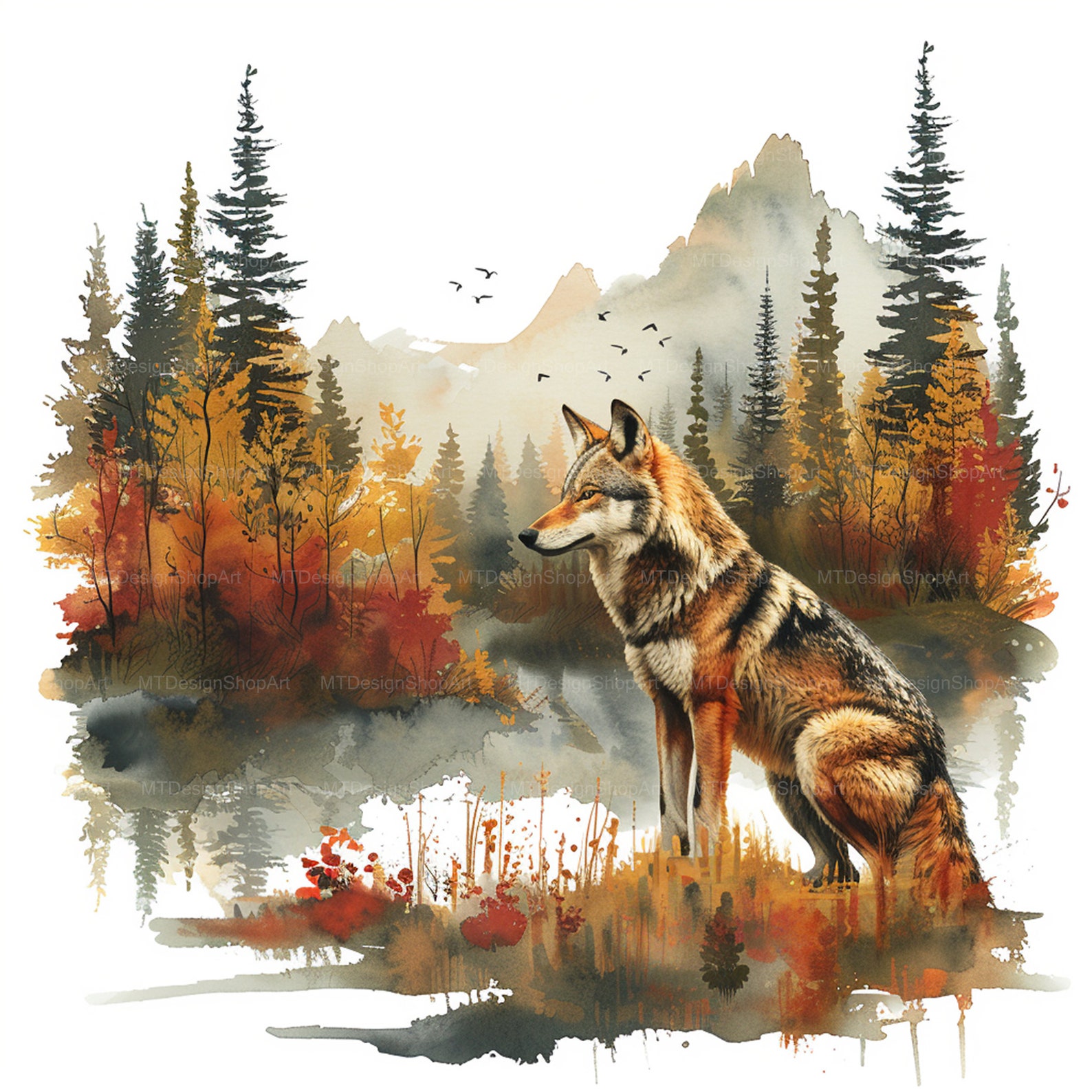 15 Wolf Clipart, Printable Watercolor Clipart, Watercolor Wolf Clipart ...