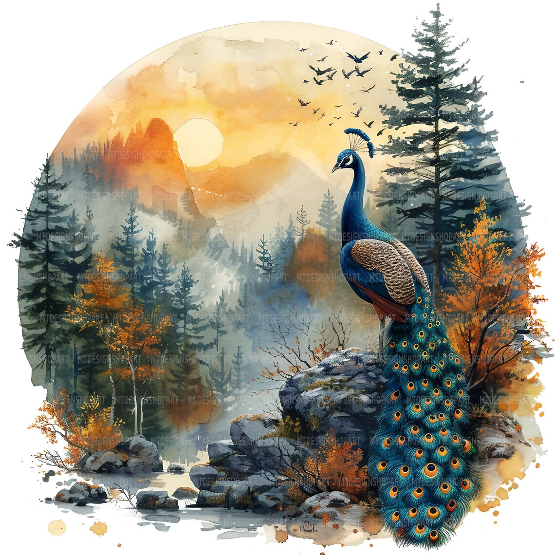 10 Peacock Clipart, Peacock Landscape, Printable Watercolor Clipart ...