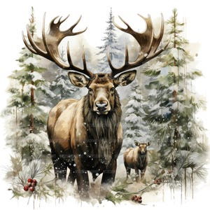 20 Moose in Winter Clipart, Moose Clipart, Printable Watercolor Clipart ...