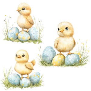 15 Easter Chick Clipart, Chick and Eggs Clipart, Printable Watercolor ...