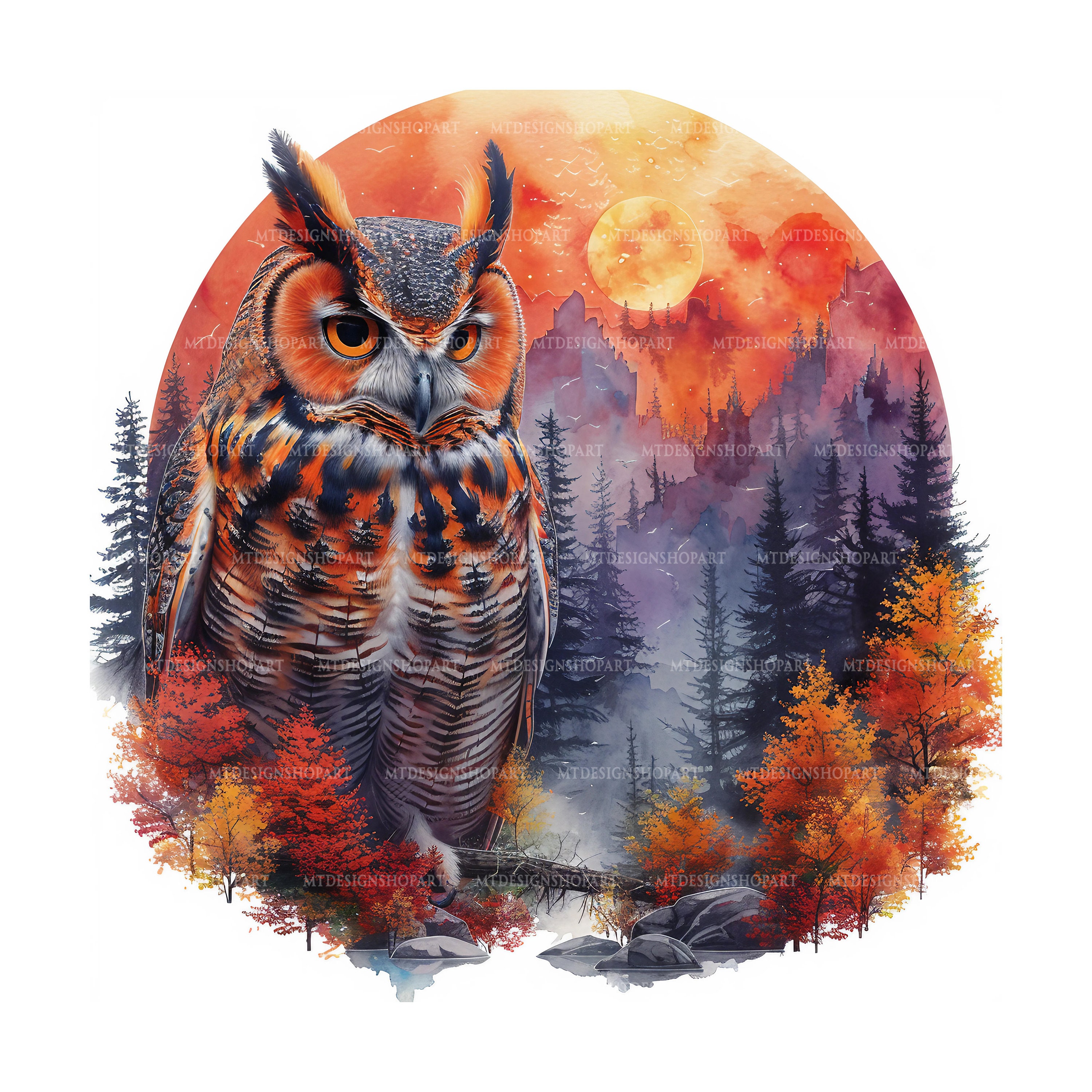 10 Owl Clipart, Printable Watercolor Clipart, Watercolor Owl Clipart ...