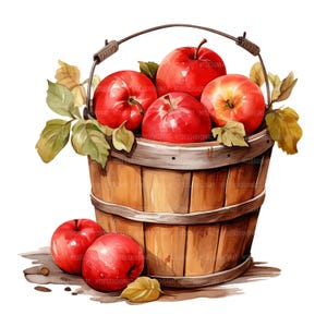 20 Apple Basket Clipart, Apple Buckets Clipart, Printable Watercolor ...