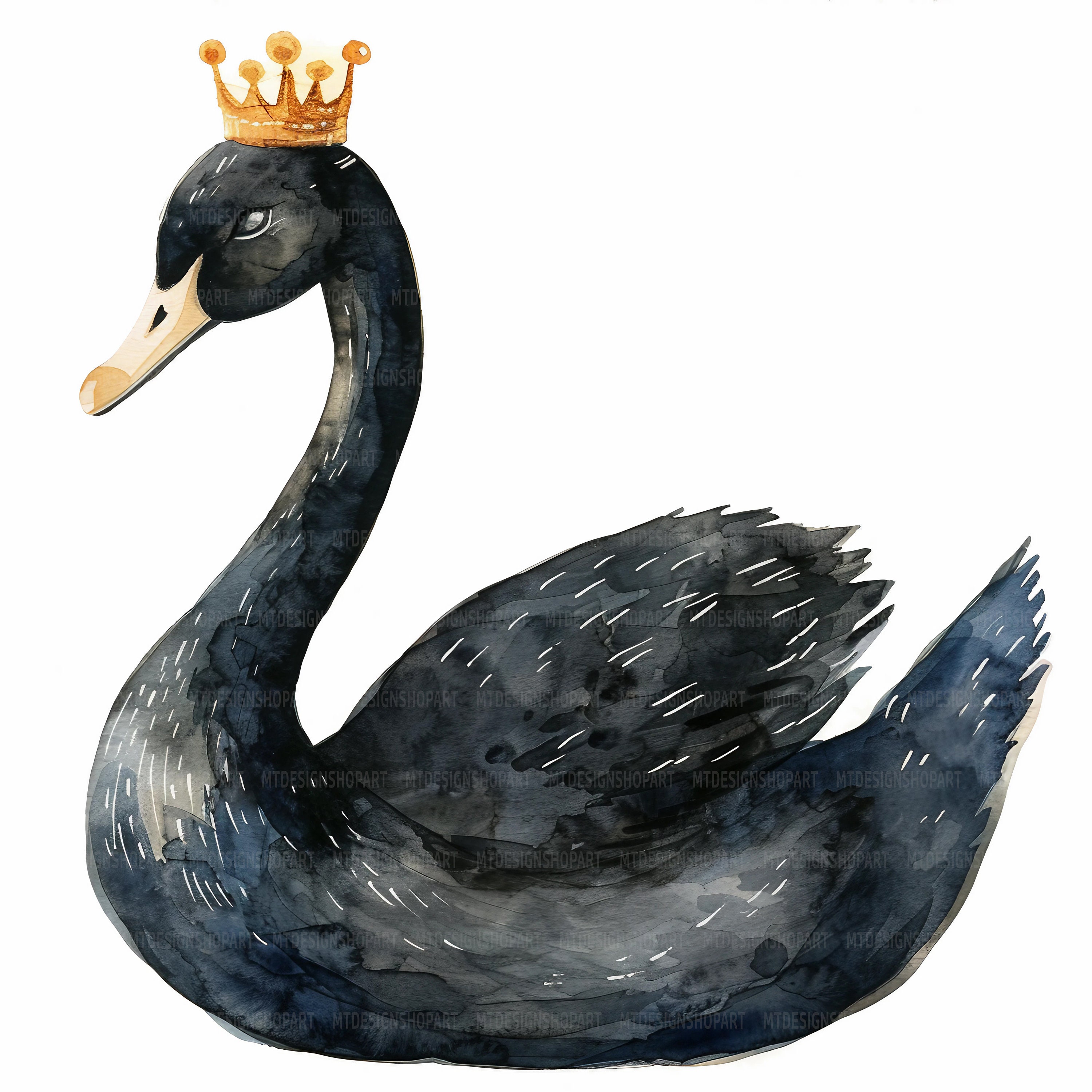 13 Black Swan Clipart, Royal Swans, Printable Watercolor Clipart, Paper ...
