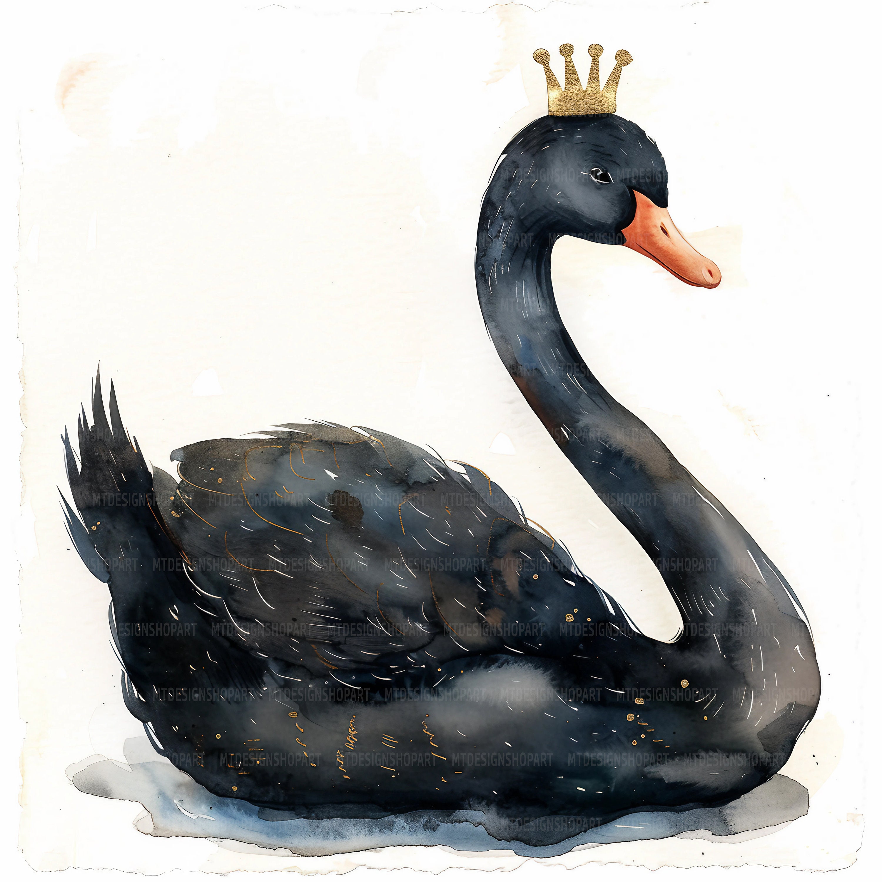 13 Black Swan Clipart, Royal Swans, Printable Watercolor Clipart, Paper ...