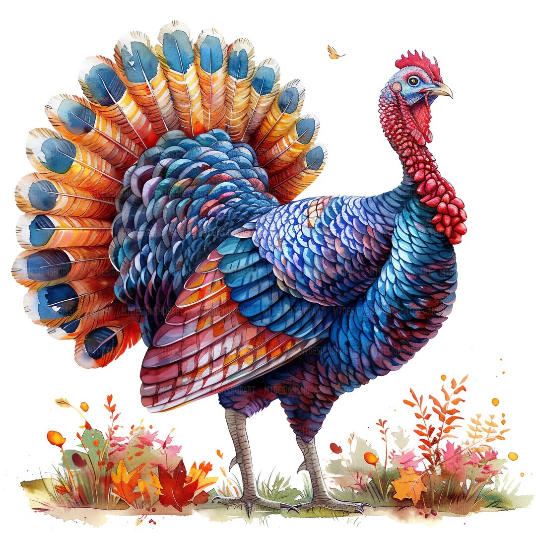 19 Turkey Clipart, Thanksgiving Clipart, Printable Watercolor Clipart ...
