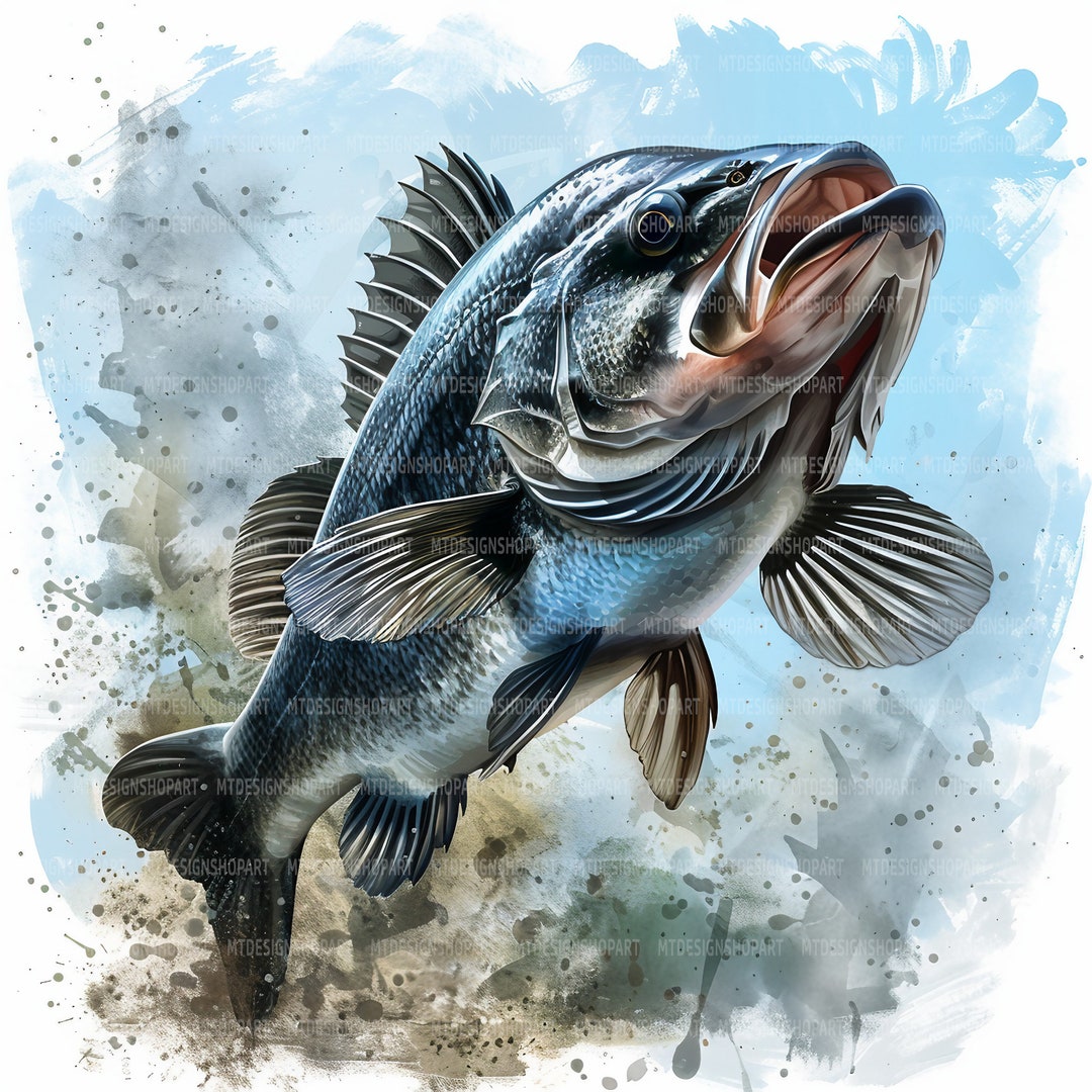 17 Black Bass Fish Clipart, Fish Clipart, Bass Fish, Printable ...