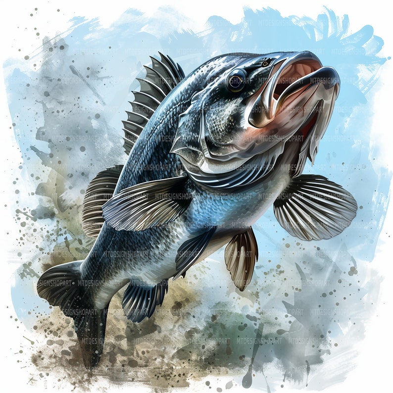 17 Black Bass Fish Clipart, Fish Clipart, Bass Fish, Printable ...