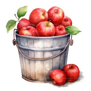20 Apple Basket Clipart, Apple Buckets Clipart, Printable Watercolor ...