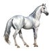 16 White Horse Clipart, Horse Clipart, Printable Watercolor Clipart ...