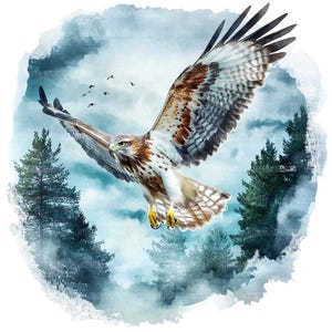 Watercolor Snow Hawk Clipart: Junk Journal Art (digital Download, Jpgs ...