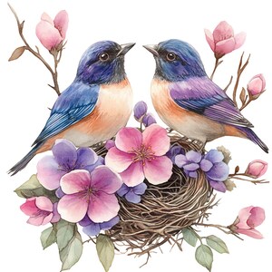 19 Spring Birds Clipart, Bird Nest Clipart, Floral Bird, Printable ...