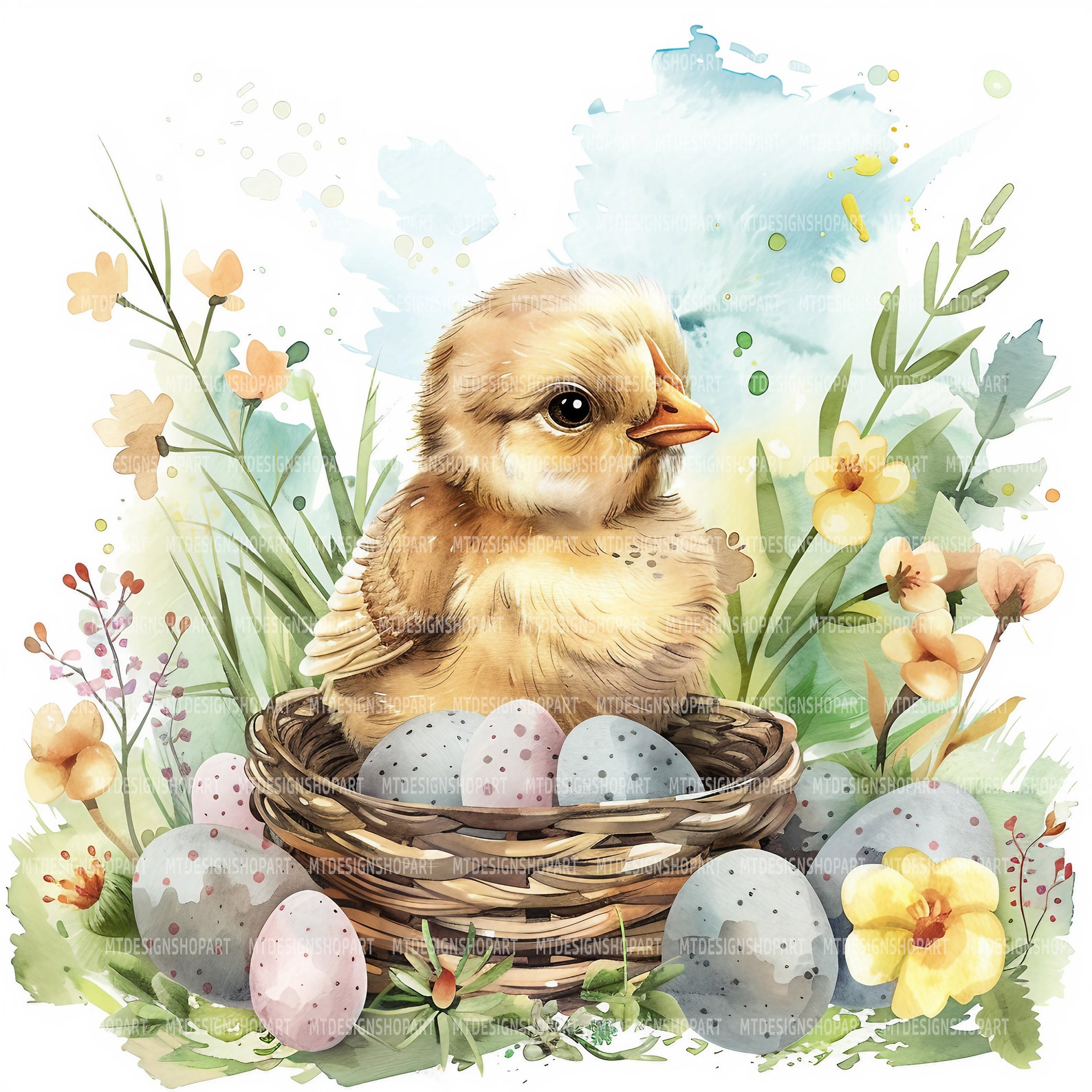 11 Chick and Eggs Clipart, Chicks, Printable Watercolor Clipart, High ...
