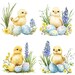 19 Easter Chick and Eggs Clipart, Easter Chick, Printable Watercolor ...