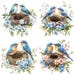 16 Spring Bird Nest Clipart, Blue Bird Clipart, Printable Watercolor ...