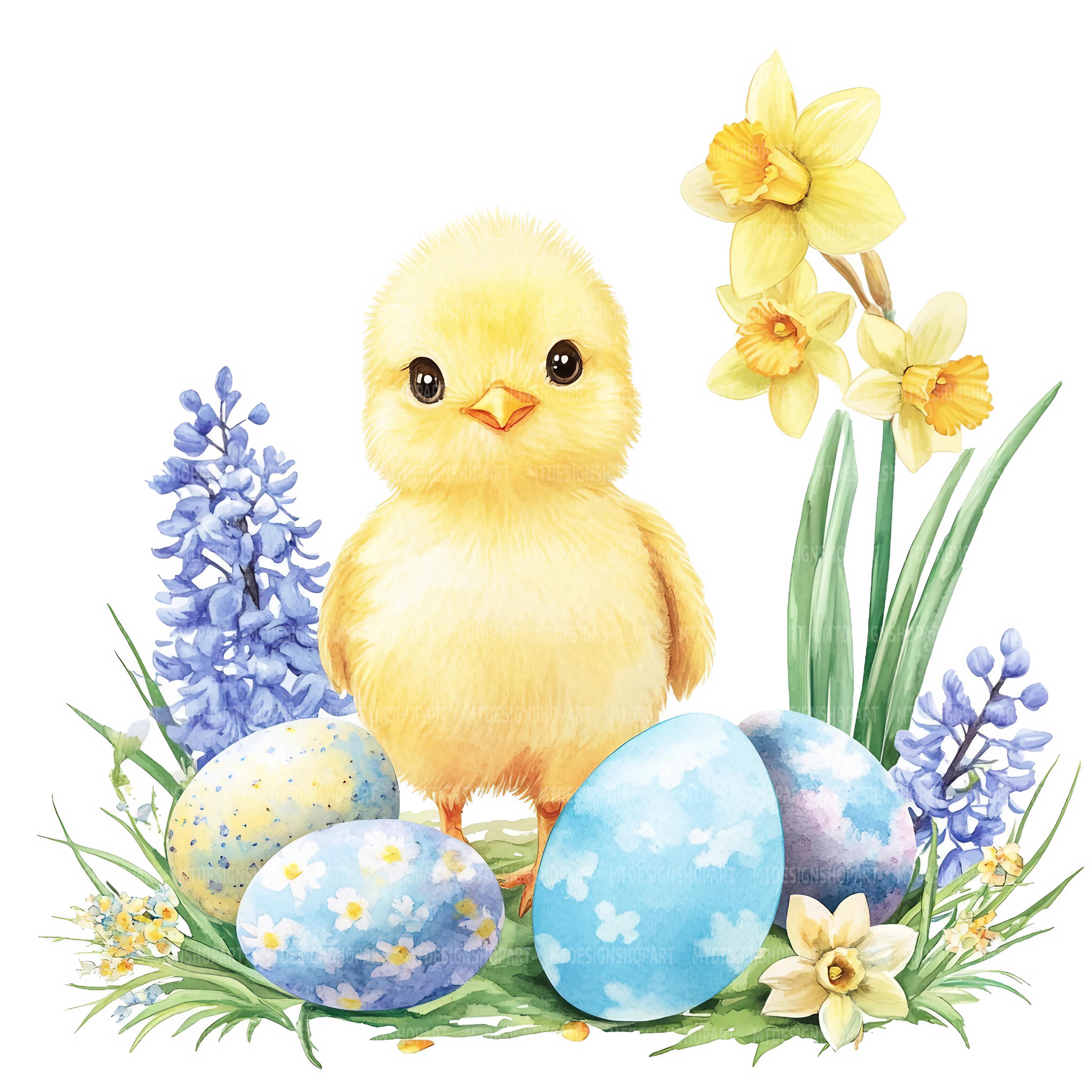19 Easter Chick and Eggs Clipart, Easter Chick, Printable Watercolor ...