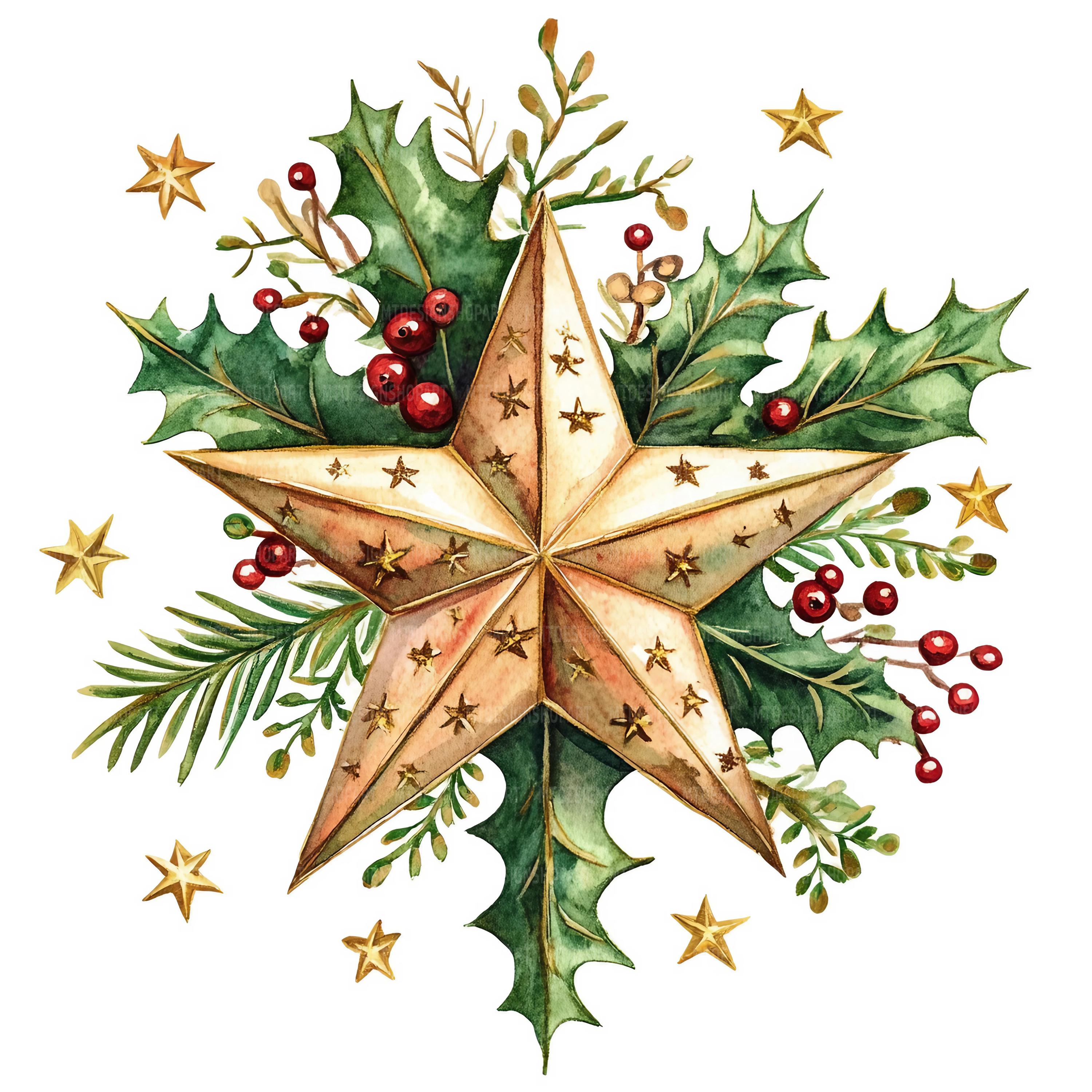 19 Christmas Star Clipart, Star Clipart, Printable Watercolor Clipart ...