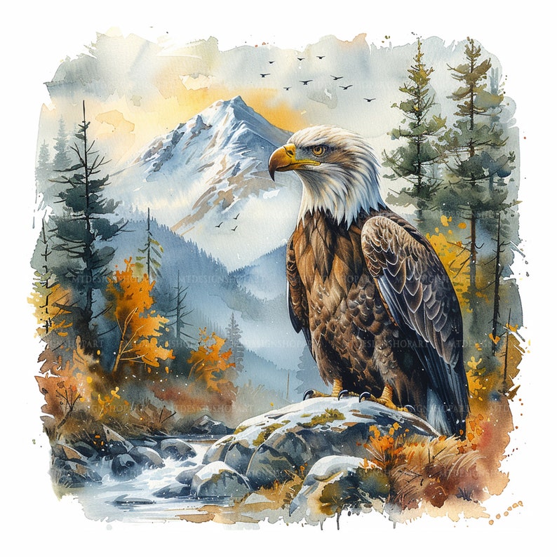 Eagle Clipart, Bald Eagle, Printable Watercolor Clipart, 15 High ...