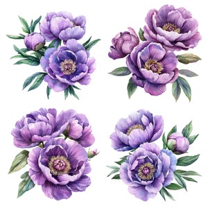 25 Purple Peonies Clipart, Purple Flowers, Printable Watercolor Clipart ...