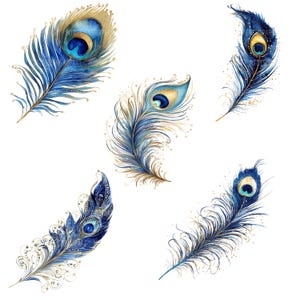 Golden Peacock Feather Watercolor Clipart: Printable Art (digital ...