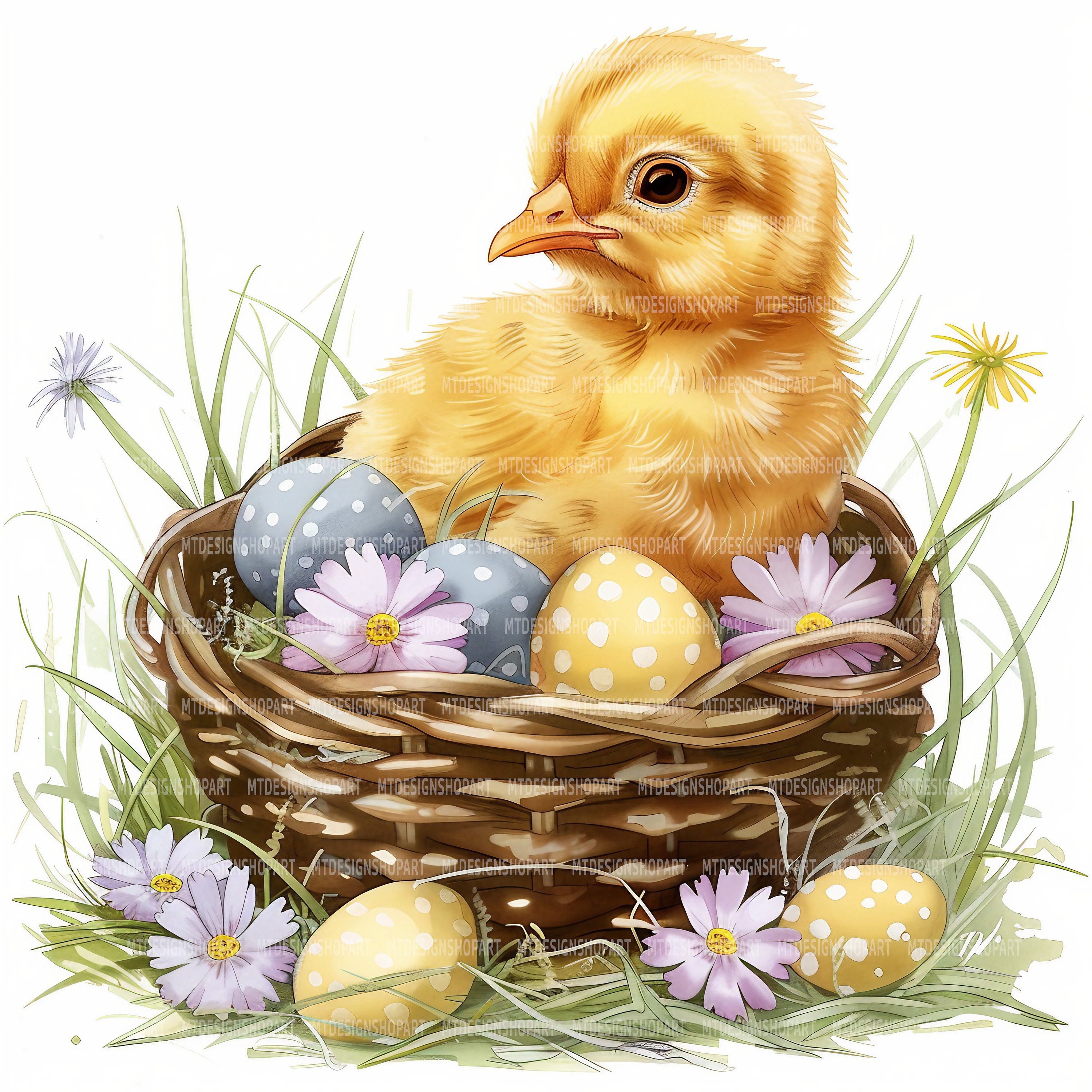 13 Chick and Eggs Clipart, Chicks, Printable Watercolor Clipart, High ...