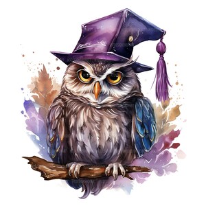 23 Magic Owl Clipart, Wizard Owl Clipart, Printable Watercolor Clipart ...