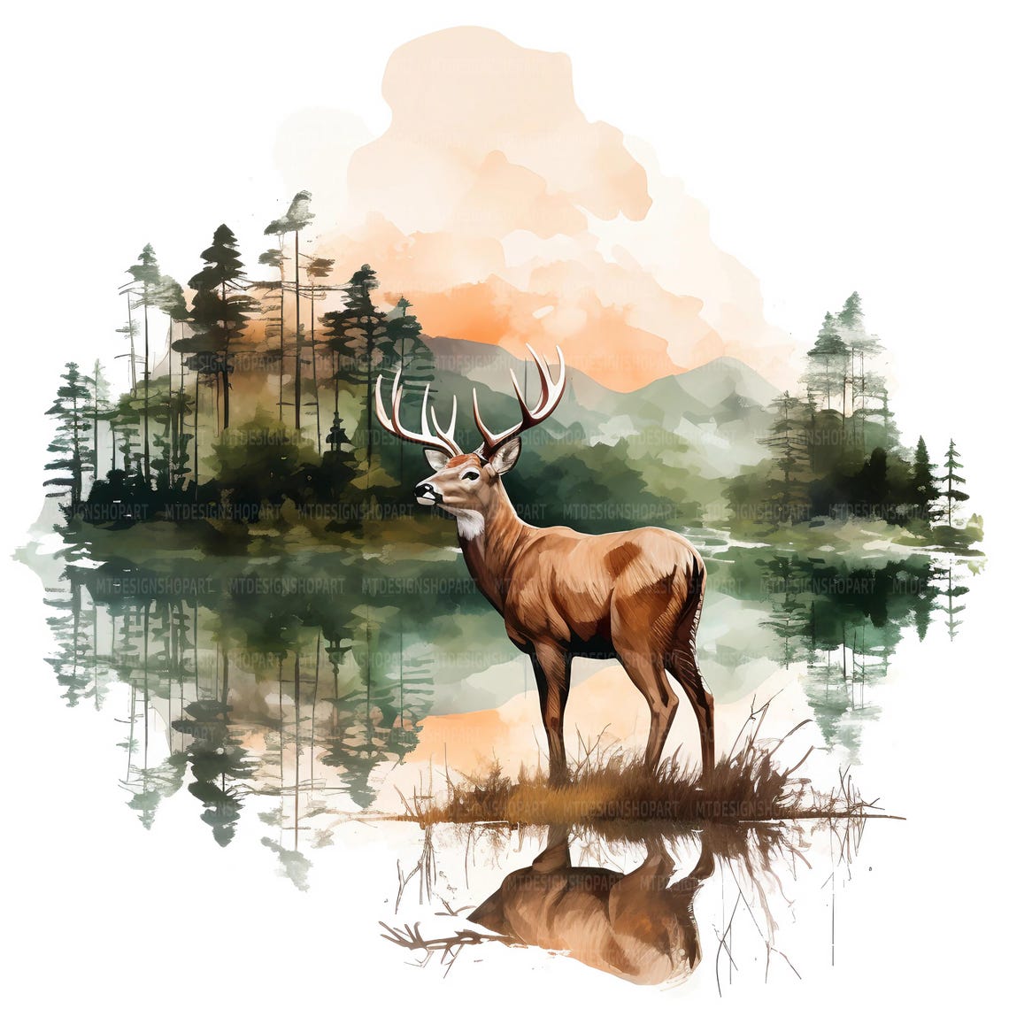 Watercolor Deer Clipart: Forest Animal Jpgs (digital Download) - Etsy