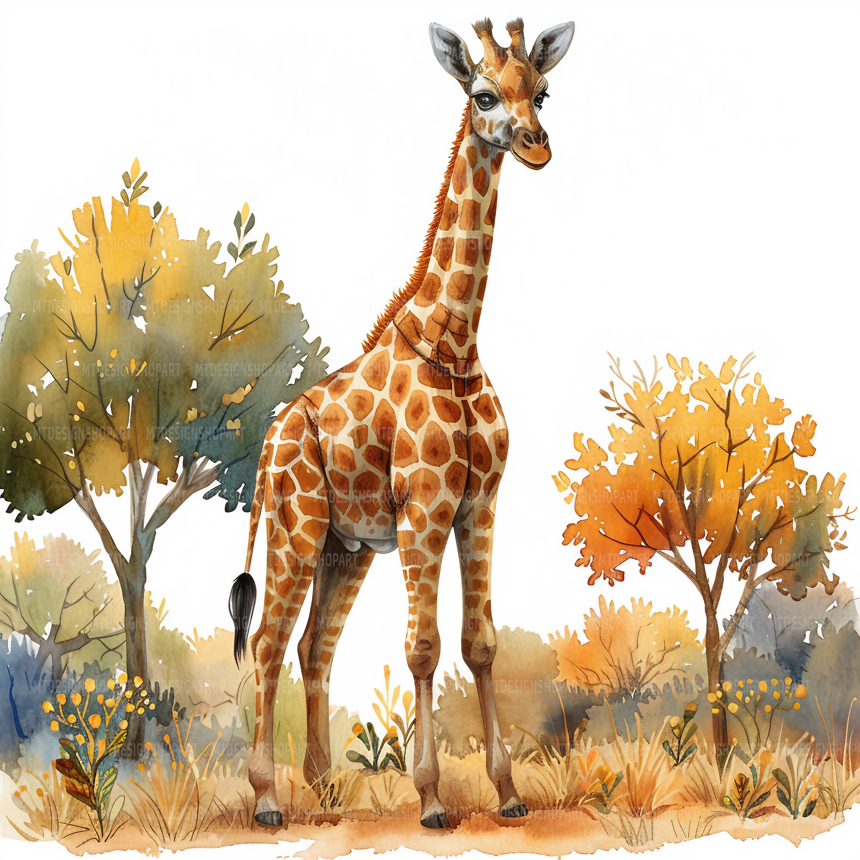 12 Giraffe Clipart , Giraffes, Printable Watercolor Clipart, Paper ...