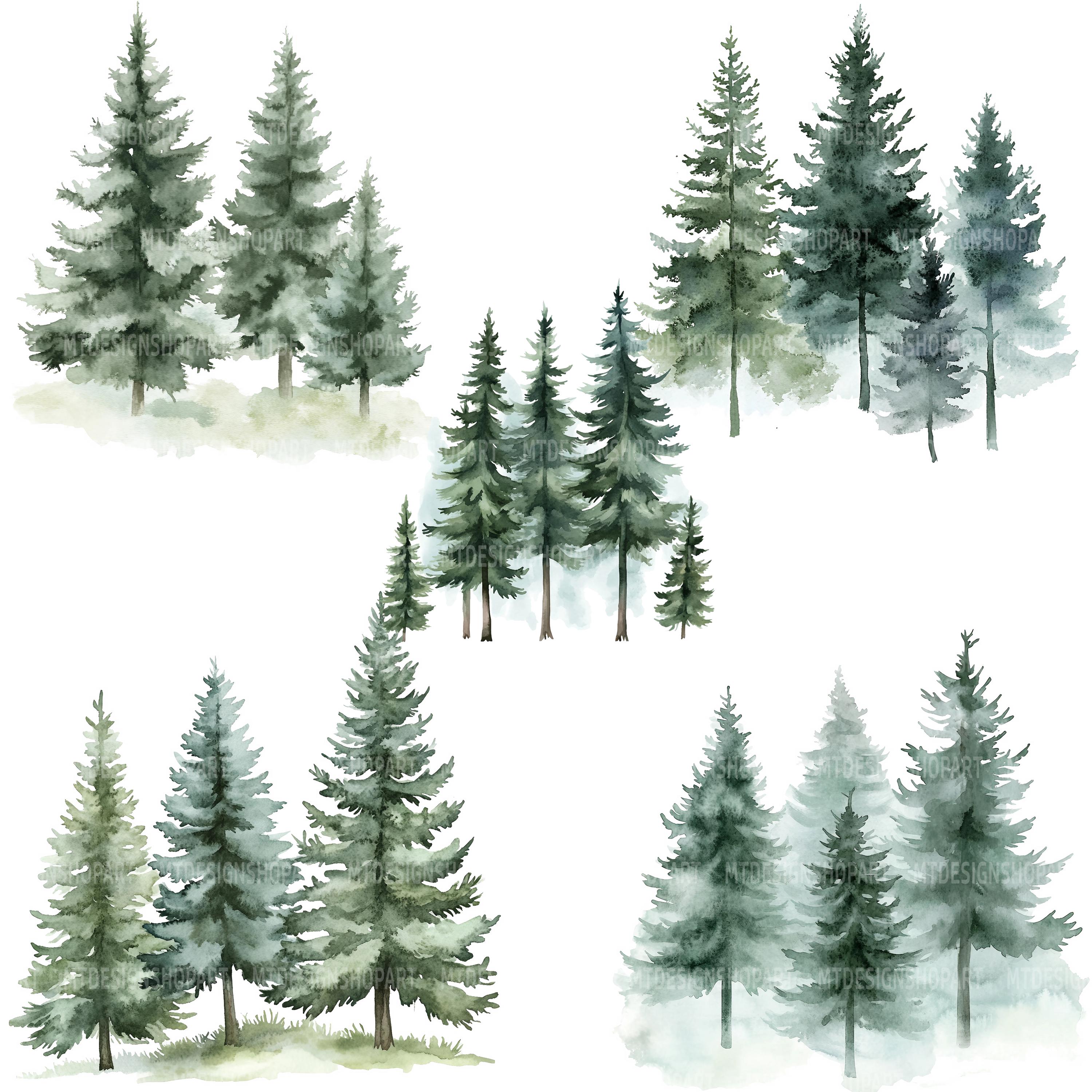 20 Conifer Tree Clipart, Forest Trees Clipart, Printable Watercolor ...