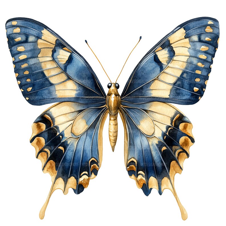 19 Marble Blue Butterfly Clipart, Gold Butterfly, Printable Watercolor ...