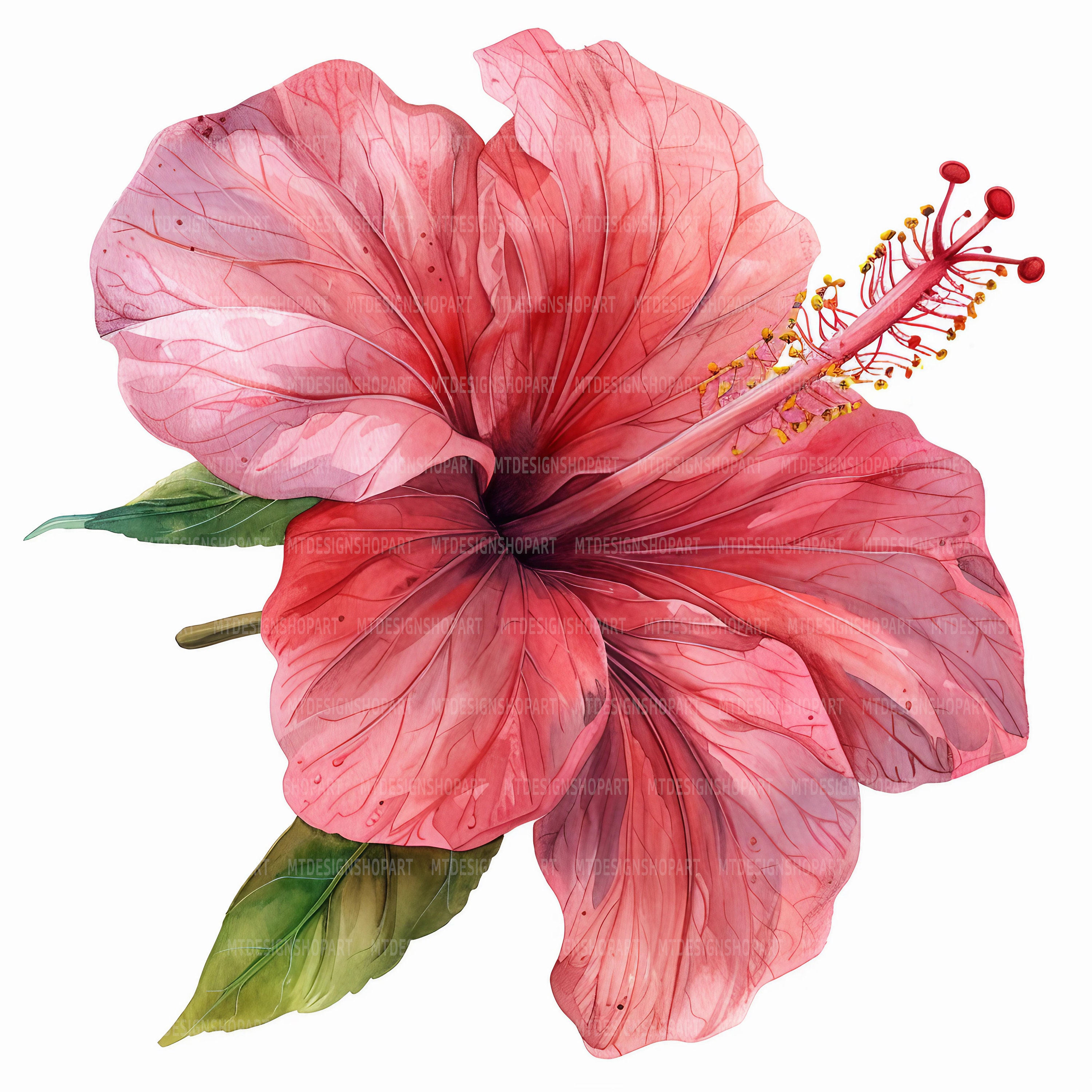 17 Tropical Flowers Clipart, Flowers Print, Printable Watercolor ...