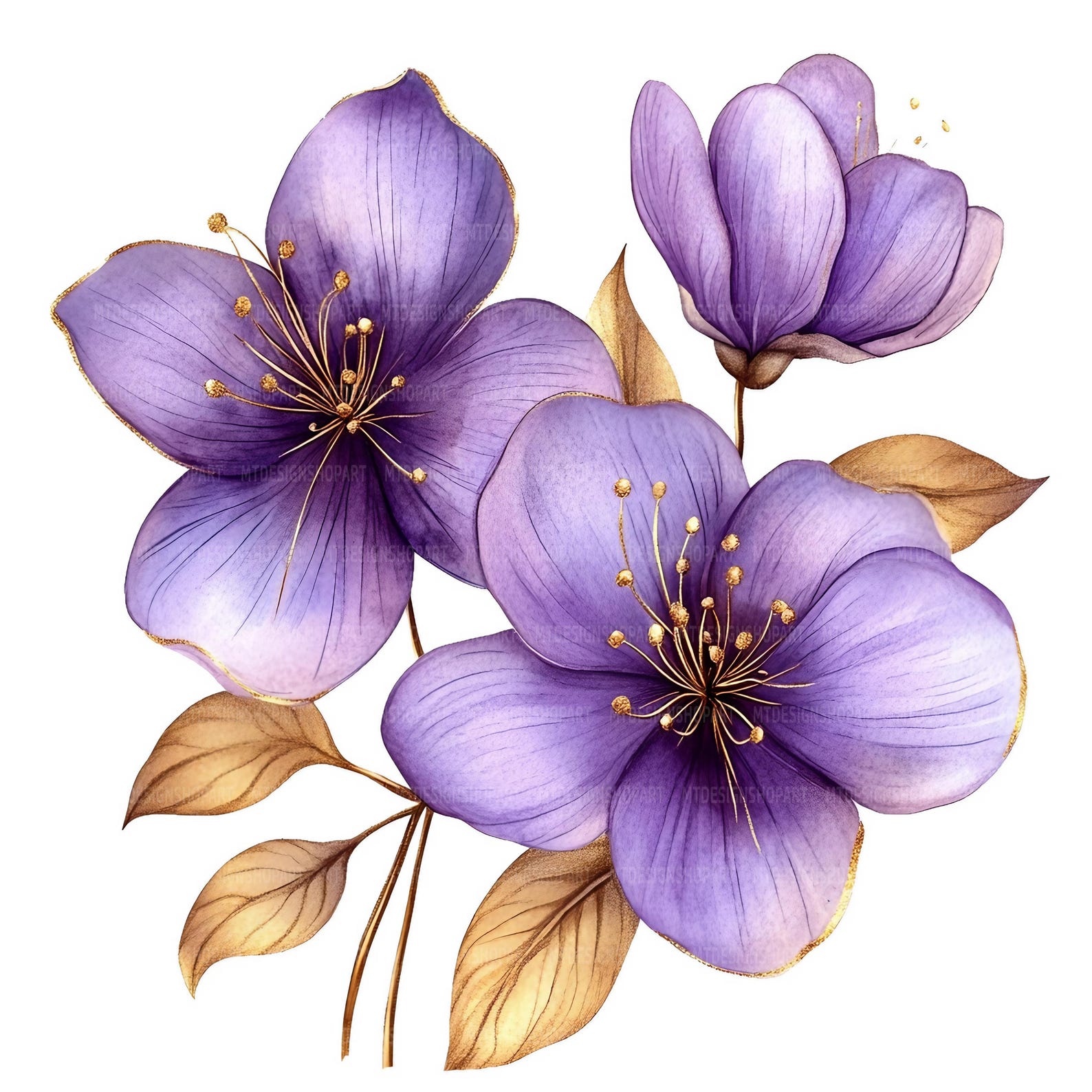 17 Purple Flowers Clipart, Abstract Flowers, Printable Watercolor ...