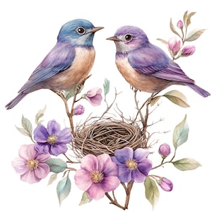 19 Spring Birds Clipart, Bird Nest Clipart, Floral Bird, Printable ...