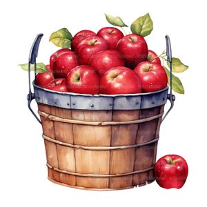 20 Apple Basket Clipart, Apple Buckets Clipart, Printable Watercolor ...