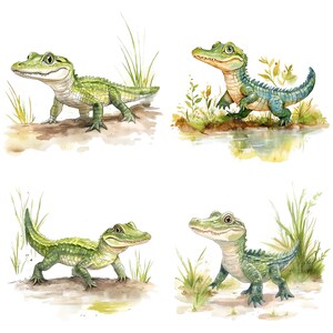 16 Baby Alligator Clipart , Baby Crocodile, Printable Watercolor ...