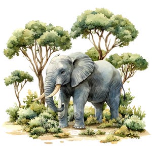 16 Elephant Clipart, Watercolor Elephant Art, Printable Watercolor ...