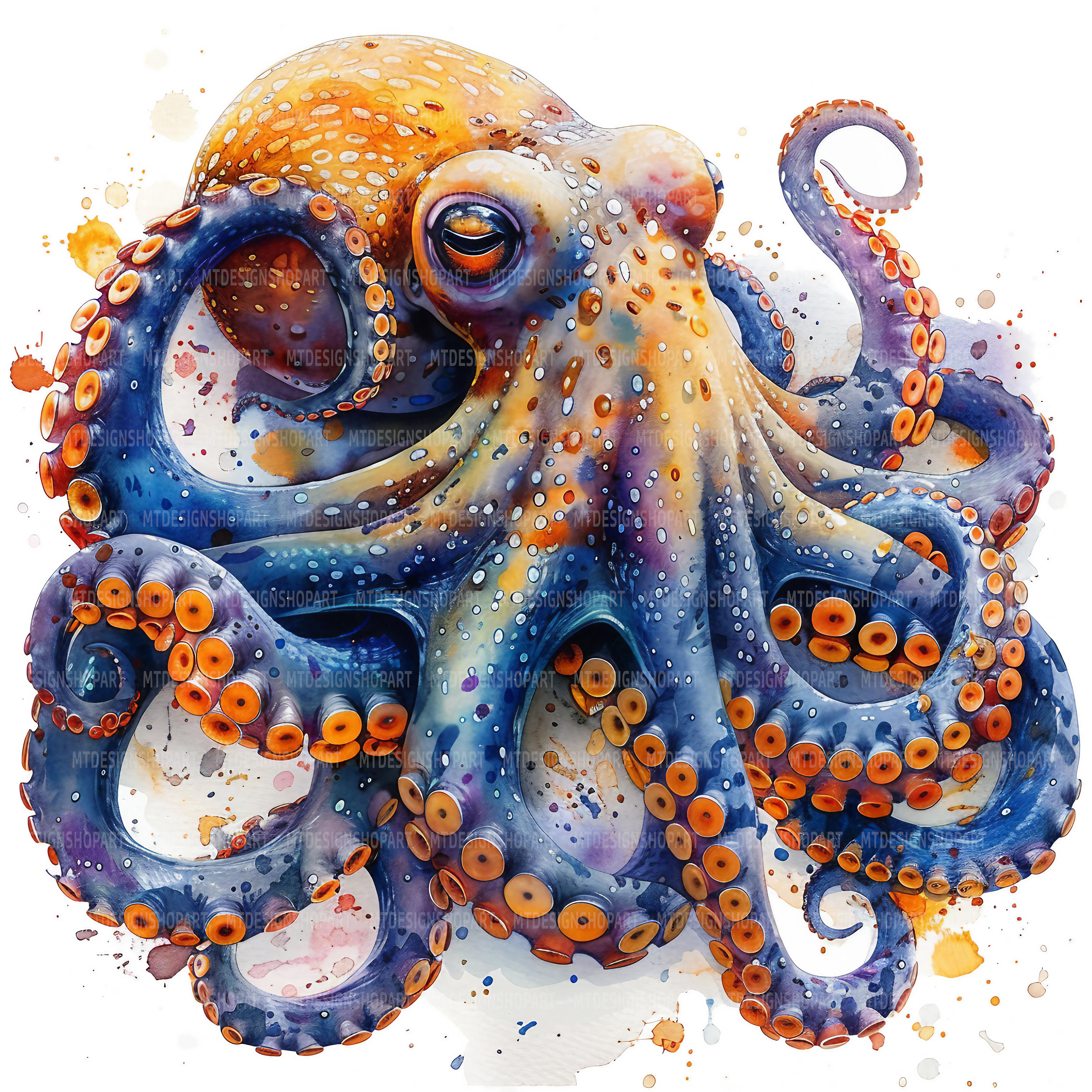 12 Octopus Clipart , Fulcolor Octopus Clipart, Printable Watercolor ...