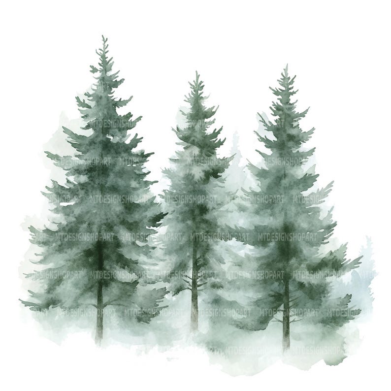 20 Conifer Tree Clipart, Forest Trees Clipart, Printable Watercolor ...