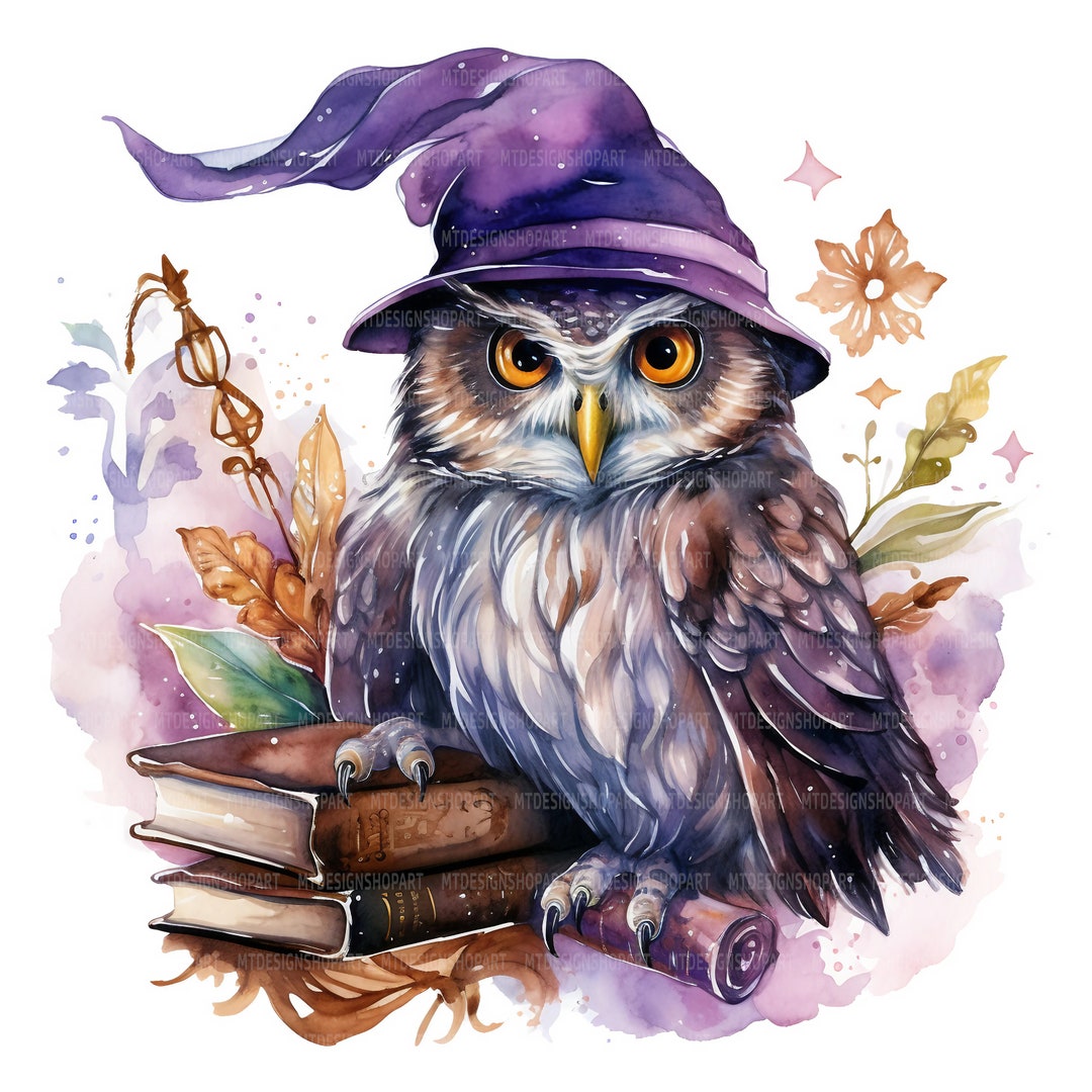 23 Magic Owl Clipart, Wizard Owl Clipart, Printable Watercolor Clipart ...