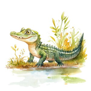16 Baby Alligator Clipart , Baby Crocodile, Printable Watercolor ...