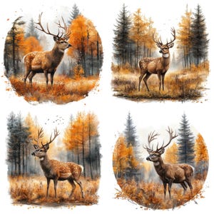 16 Deer in Autumn Clipart, Deer in Forest, Printable Watercolor Clipart ...