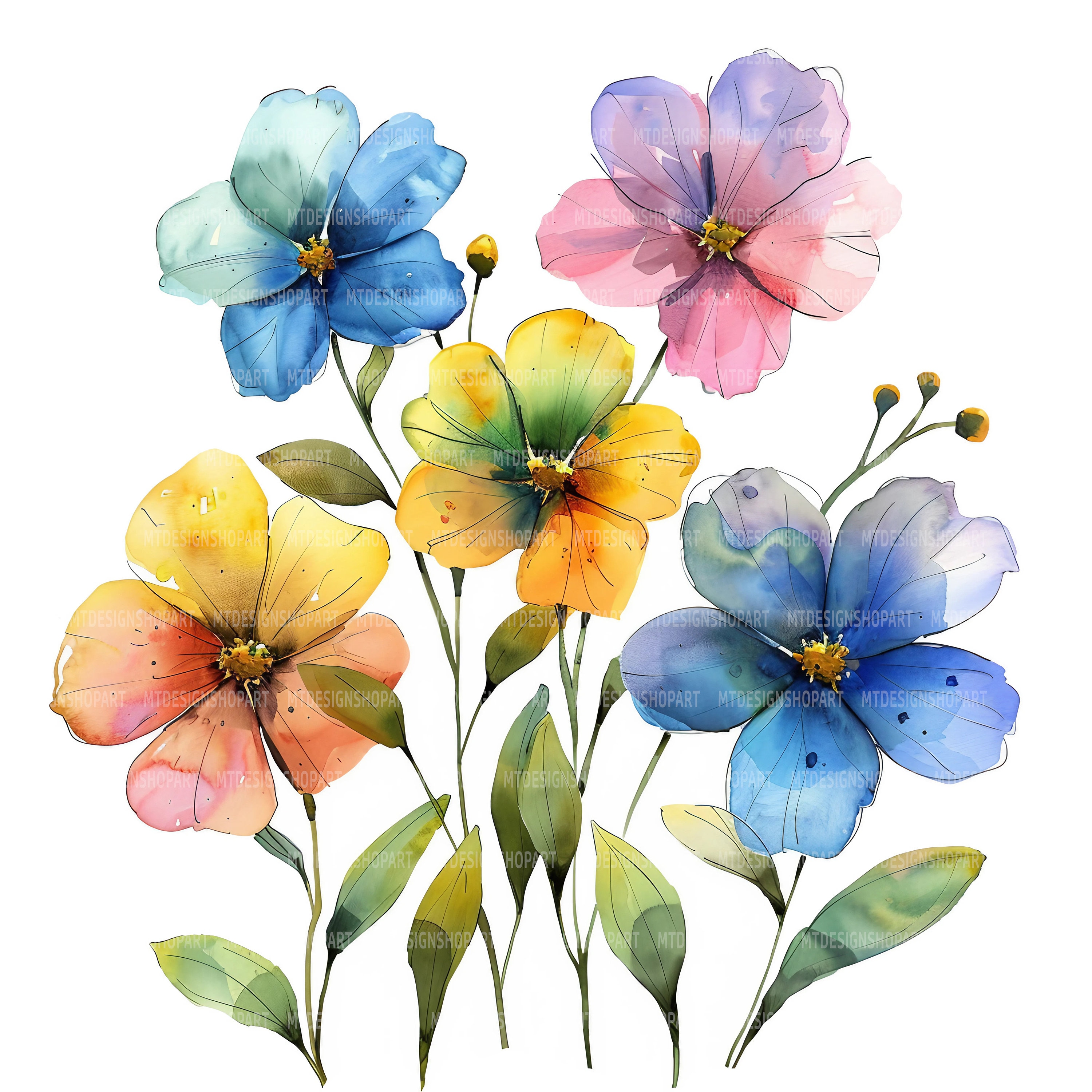 24 Various Flowers Clipart, Colorful Flowers Clipart, Printable ...