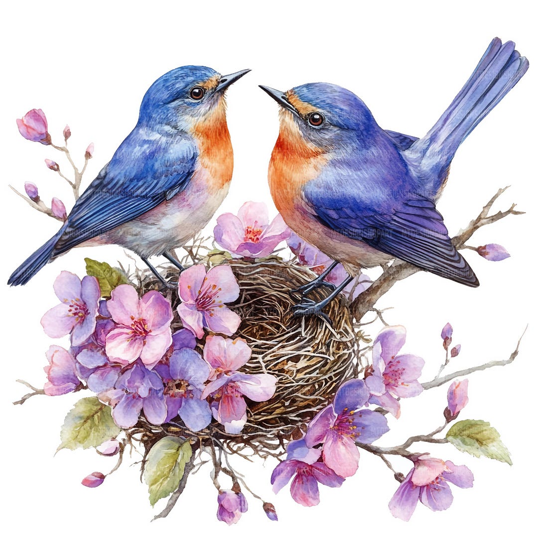 19 Spring Birds Clipart, Bird Nest Clipart, Floral Bird, Printable ...