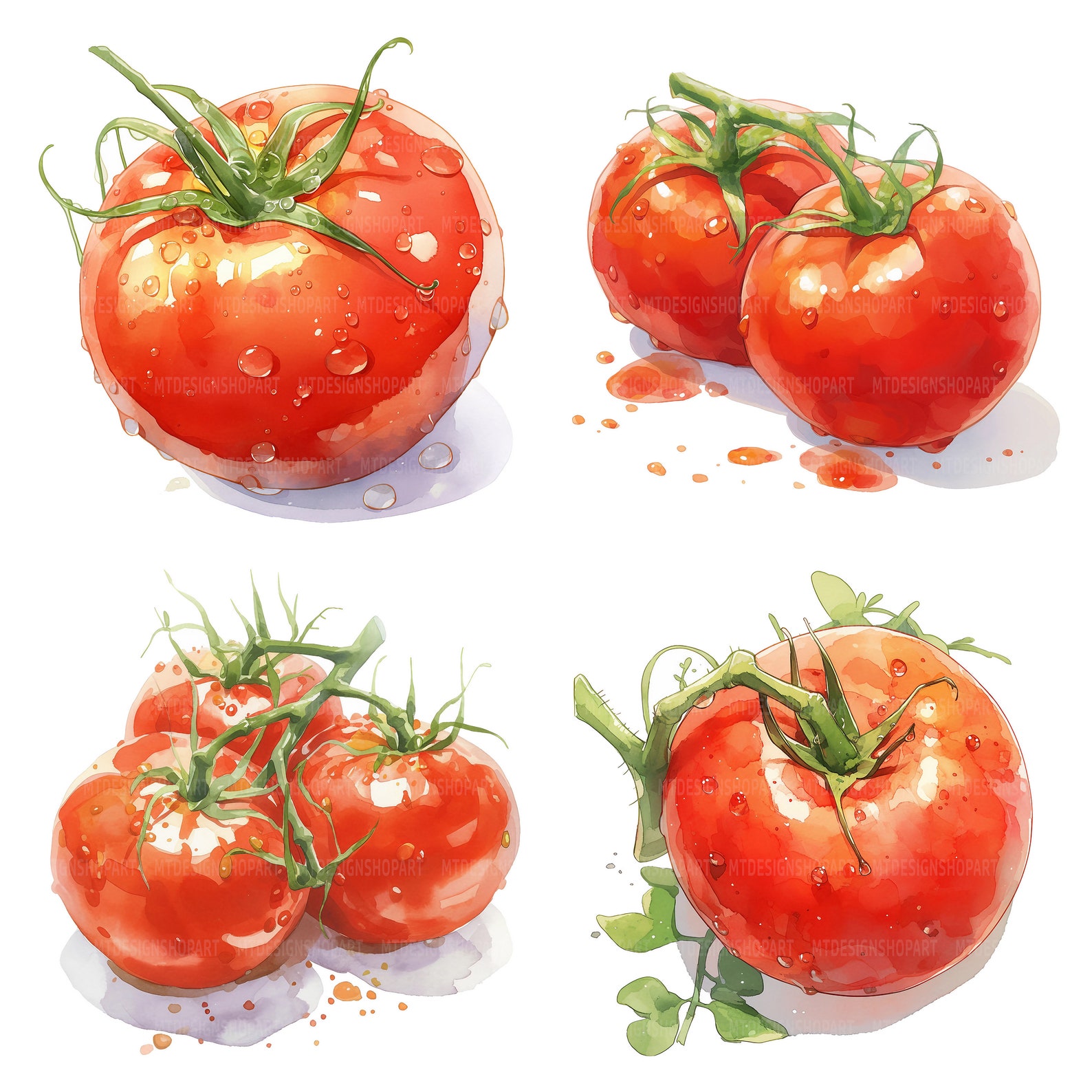 18 Tomatoes Clipart, Cute Tomato Clipart, Printable Watercolor Clipart ...